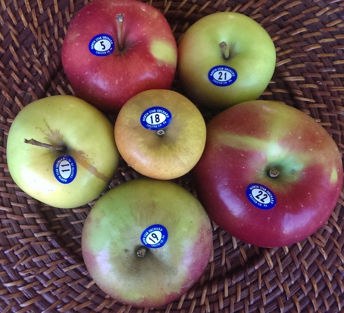 Top Ten Apples In the Universe! - North Star Orchard