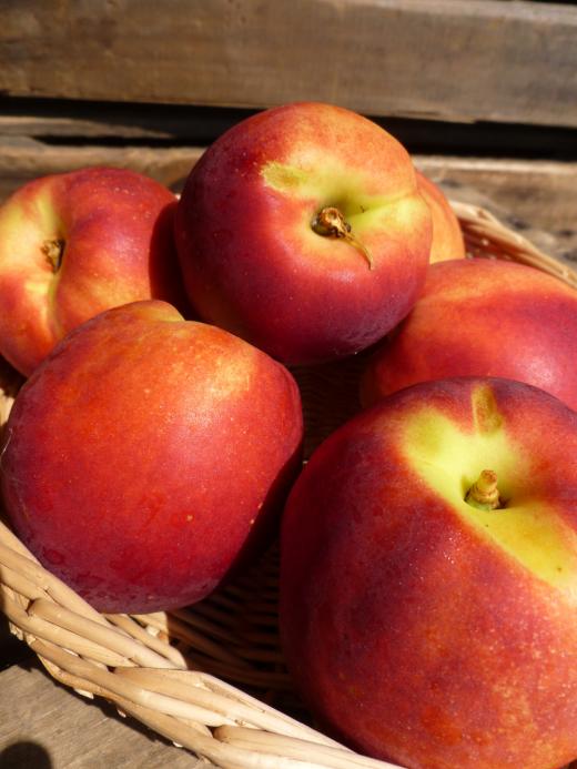Peaches & Nectarines - lisakerschnerbbwpc